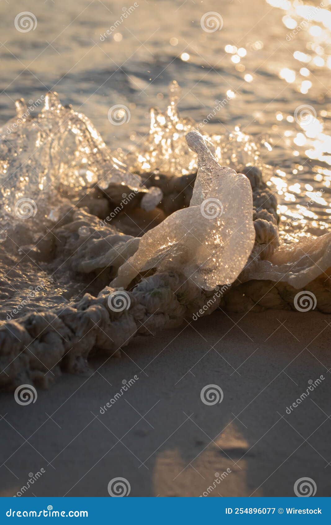 Closeup of an Ocean Wave Flowing into a Rope. Stock Image - Image of ...