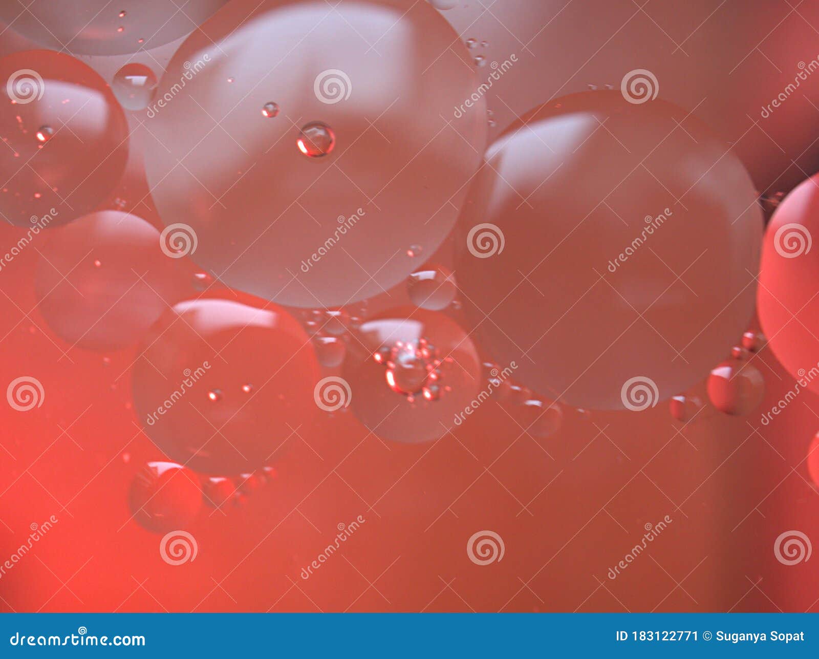 Closeup Oil Droplets with Red, Black Light Background and Shiny Stock ...