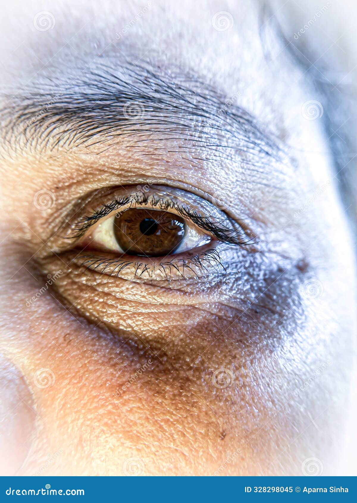 Closeup of a Old Aged Human Eye with Wrinkles Stock Image - Image of ...