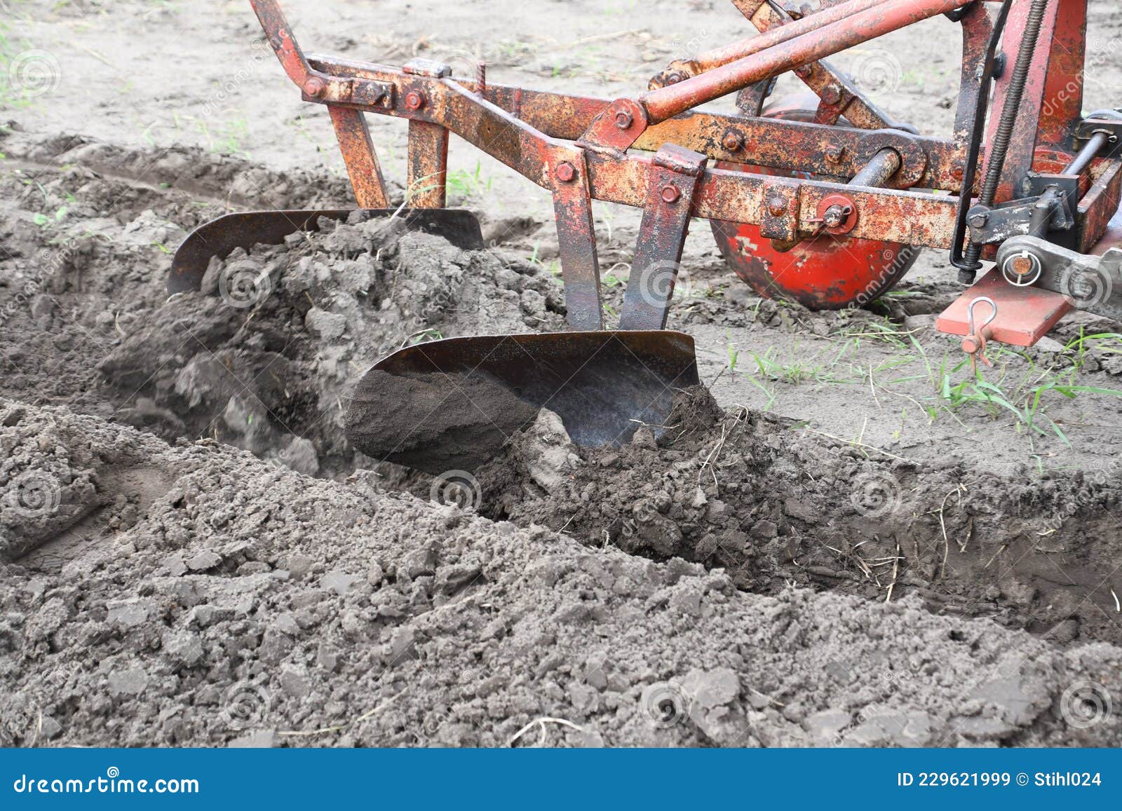 Ploughing with Old-time Plough with Two Plow Blades Stock Image - Image ...