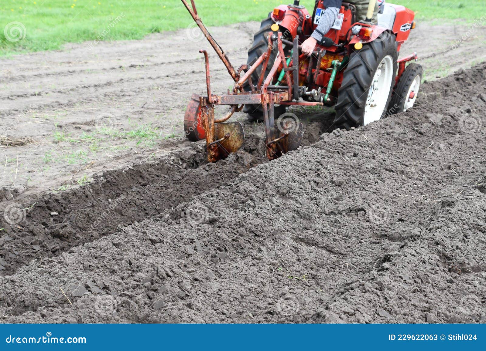 Ploughing with Old-time Plough with Two Plow Blades Stock Image - Image ...
