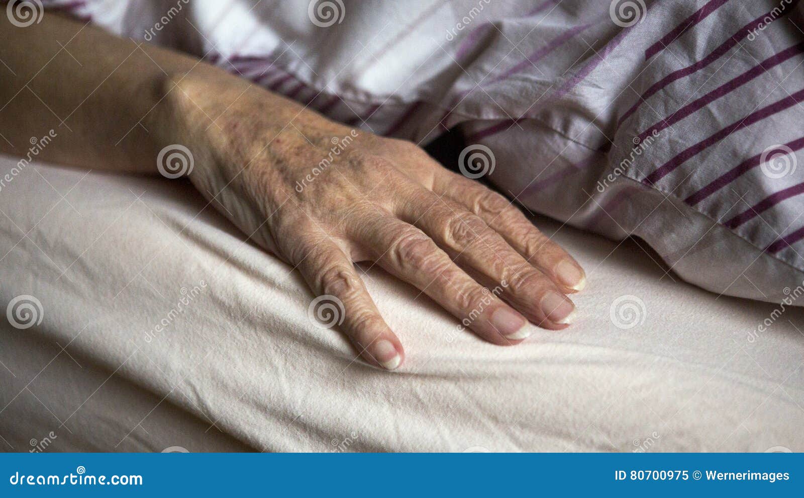 Closeup of Old Female Hand in Bed Stock Image - Image of finger ...