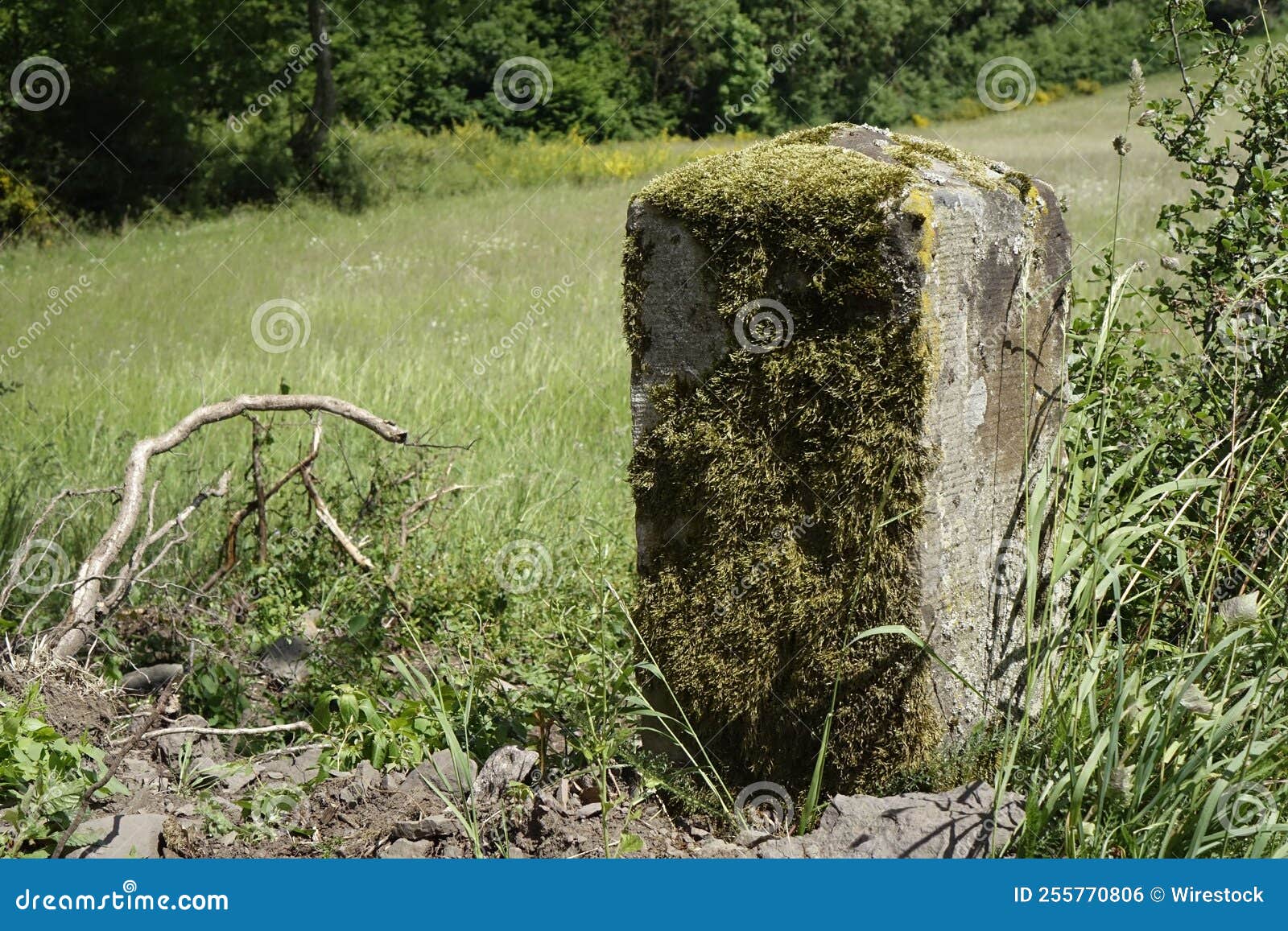 Closeup of an Old Gravestone with "KB" Initials Covered with Moss in ...