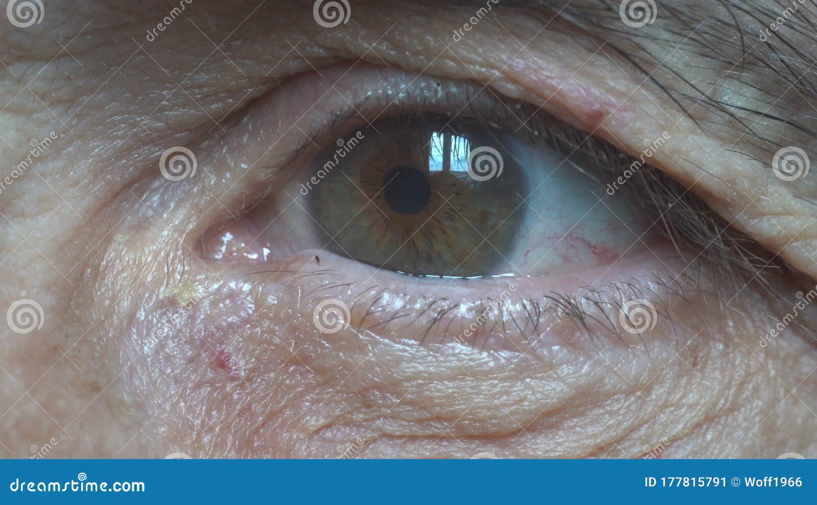 Closeup old man eye stock image. Image of mature, elderly - 177815791