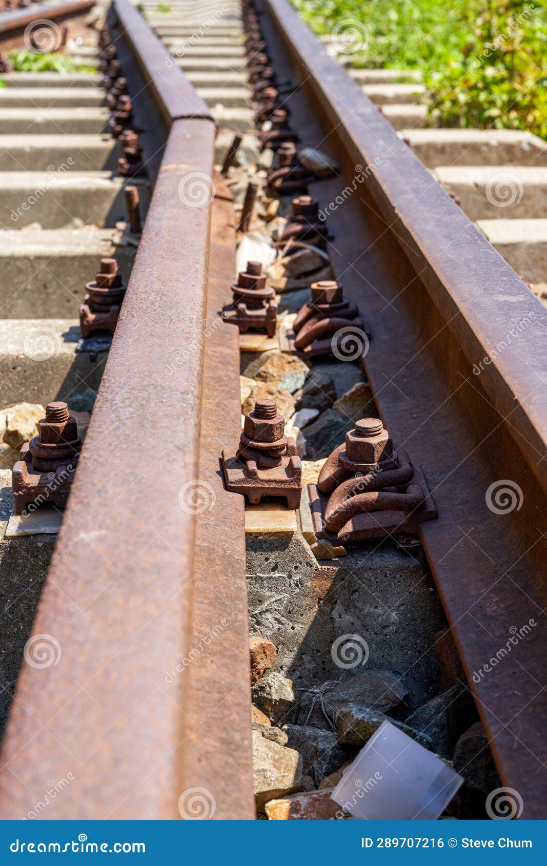 Closeup of Old Rusty Railway Bifurcated Rails and Rivets in the Wild ...