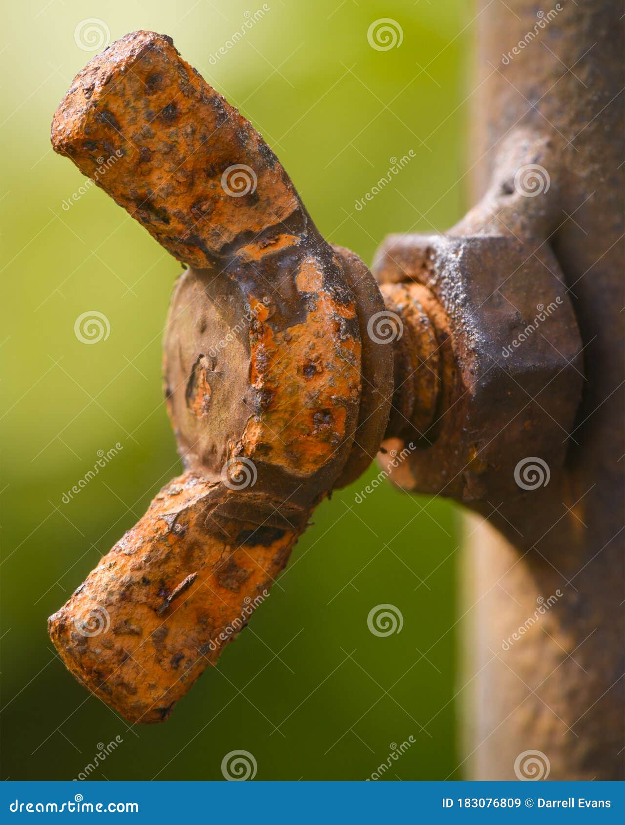 Closeup of an Old Rusty Wing Nut Stock Image - Image of rusted, texture ...