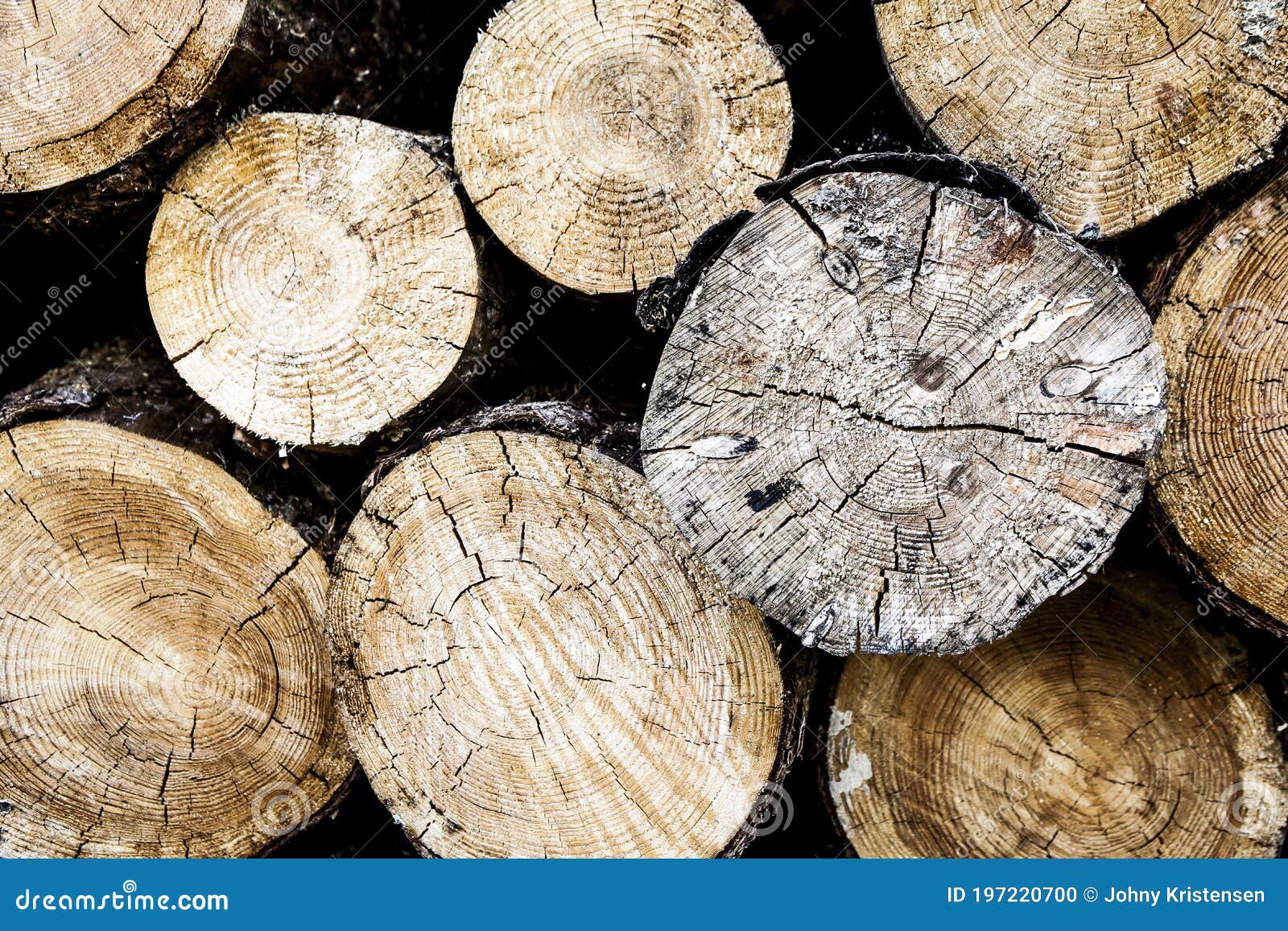 Closeup of Old Vintage Logs Trees Stock Photo - Image of eachother ...