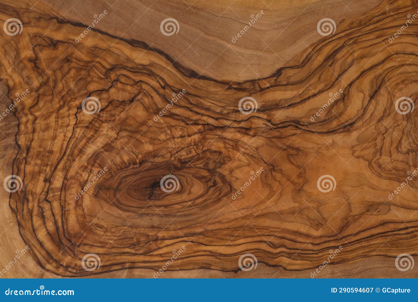 Closeup Olive Wood Texture with Oil Finish Stock Image - Image of ...
