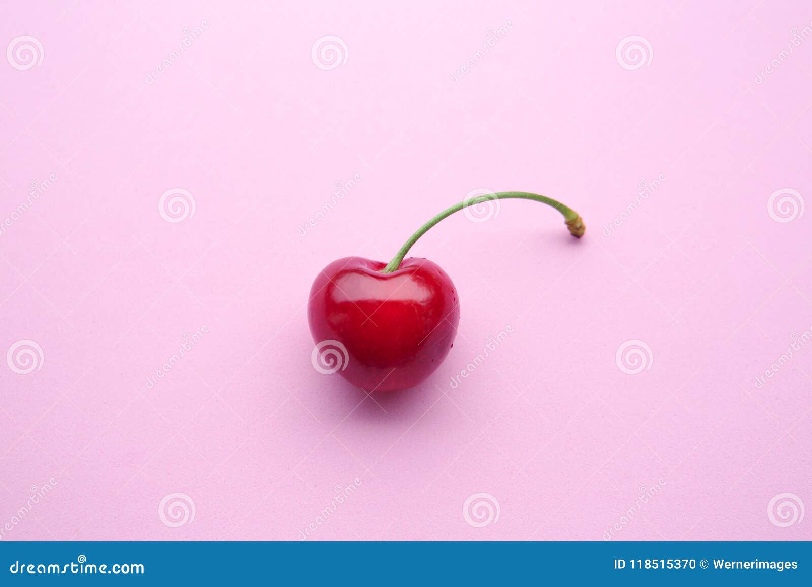 Closeup of One Cherry on Pink Background Stock Photo - Image of garden ...