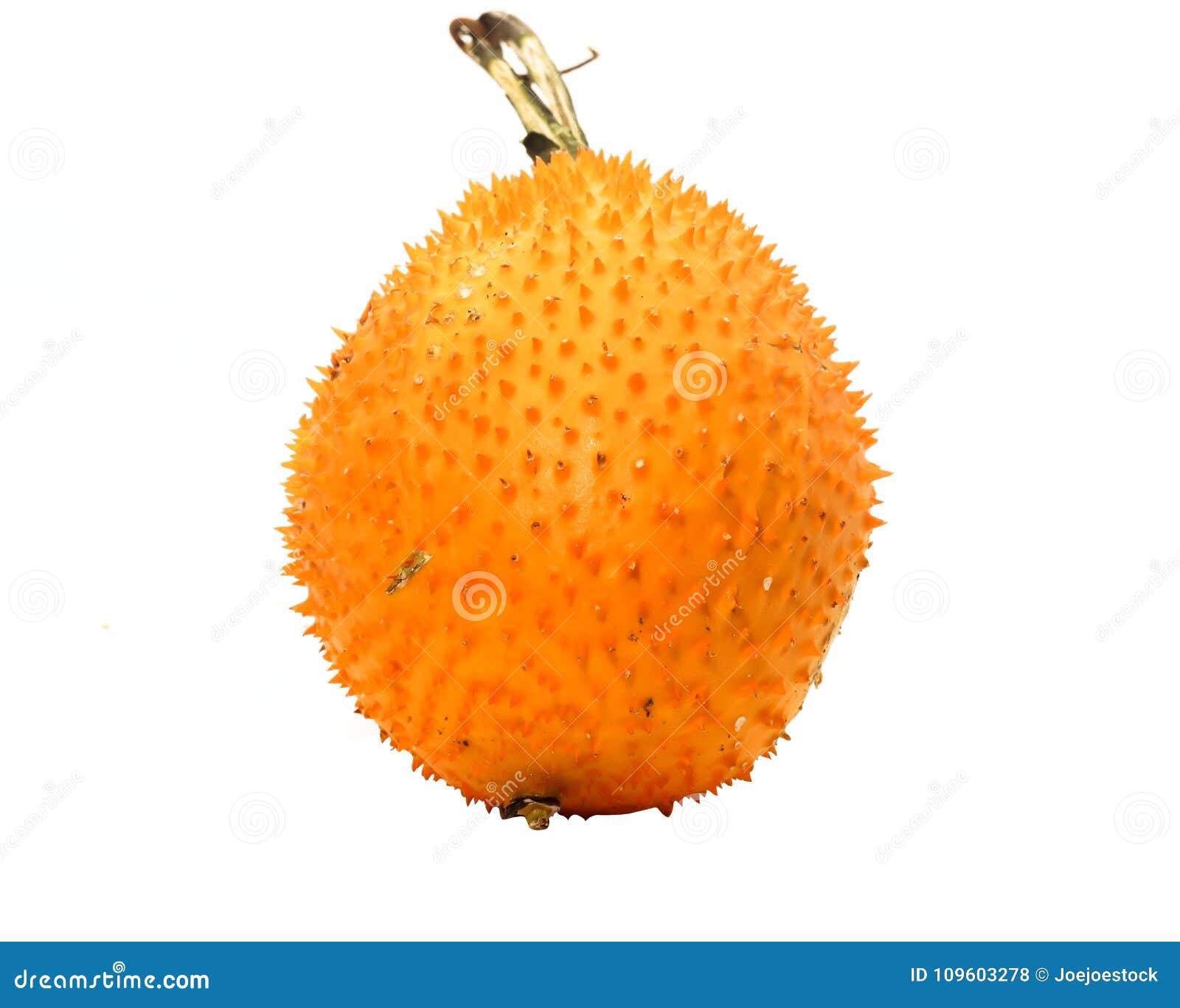 Closeup of One Orange Baby Jackfruit on White Background Stock Photo ...