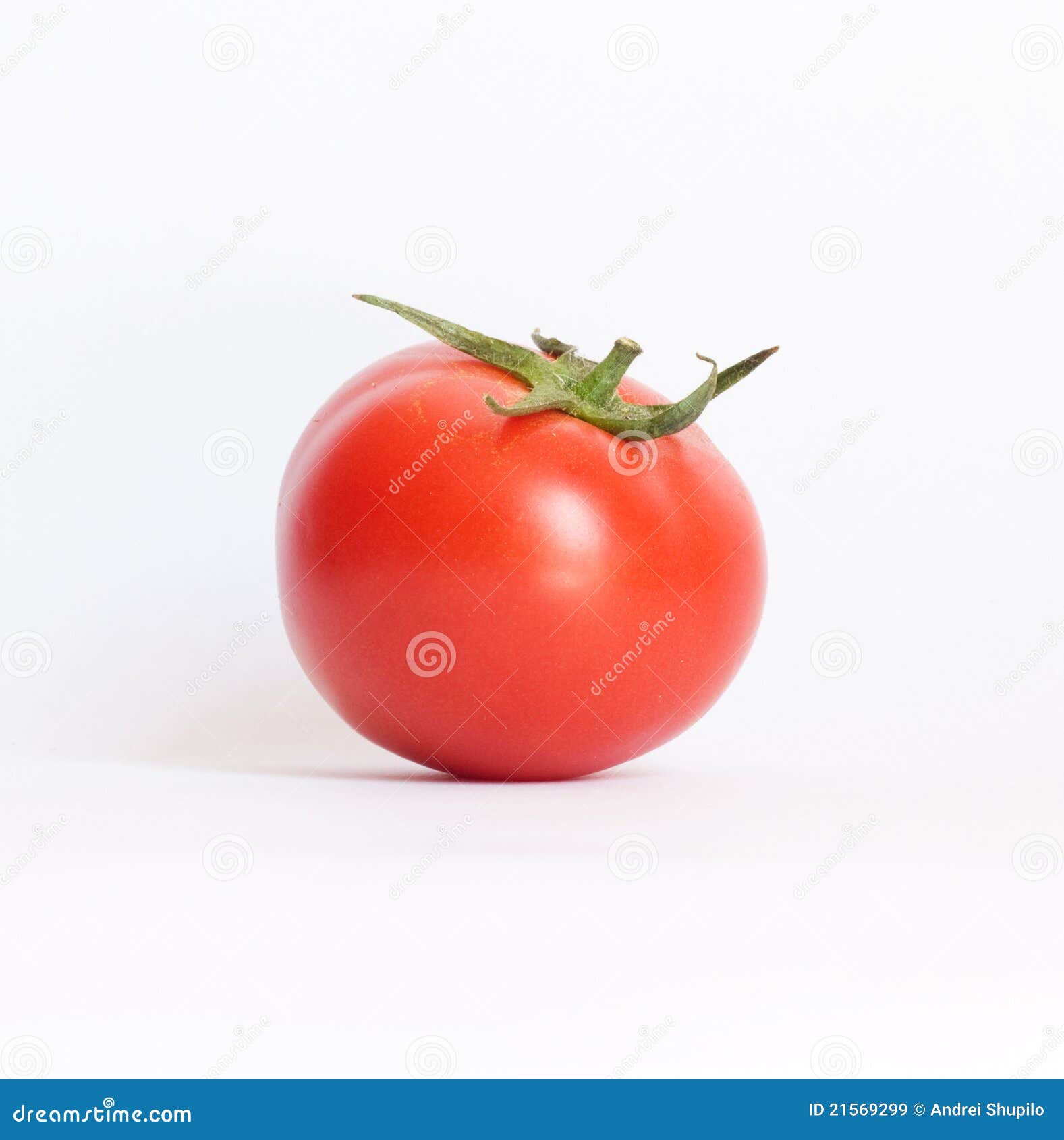 Closeup of one red tomato stock image. Image of white - 21569299
