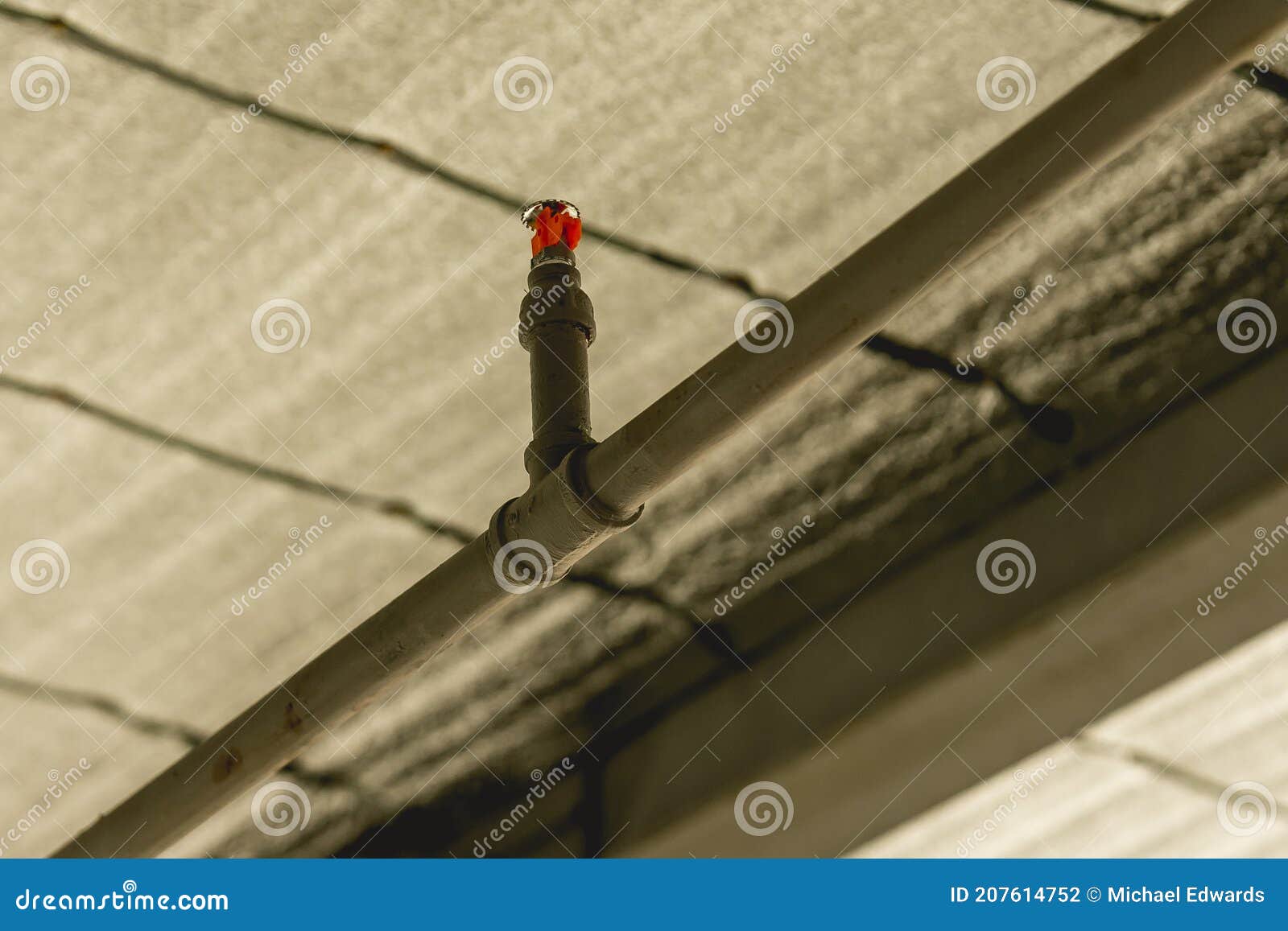 Closeup of One Sprinkler Head of an Automatic Fire Sprinkler System ...