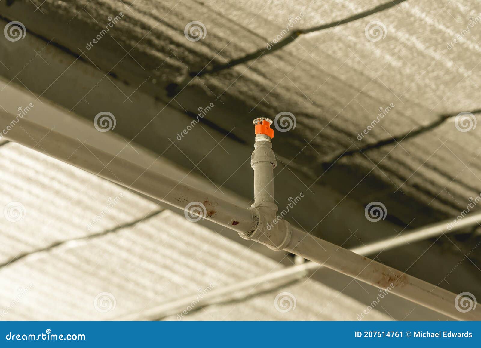 Closeup of One Sprinkler Head of an Automatic Fire Sprinkler System ...