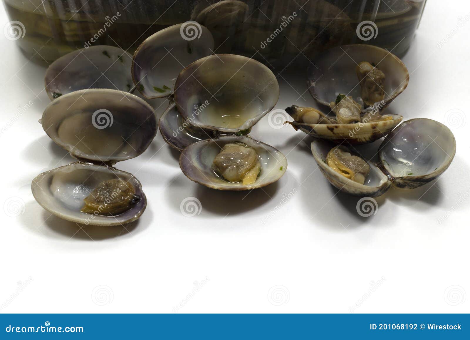 Closeup of Open Shellfish Seafood on a White Surface Stock Photo ...