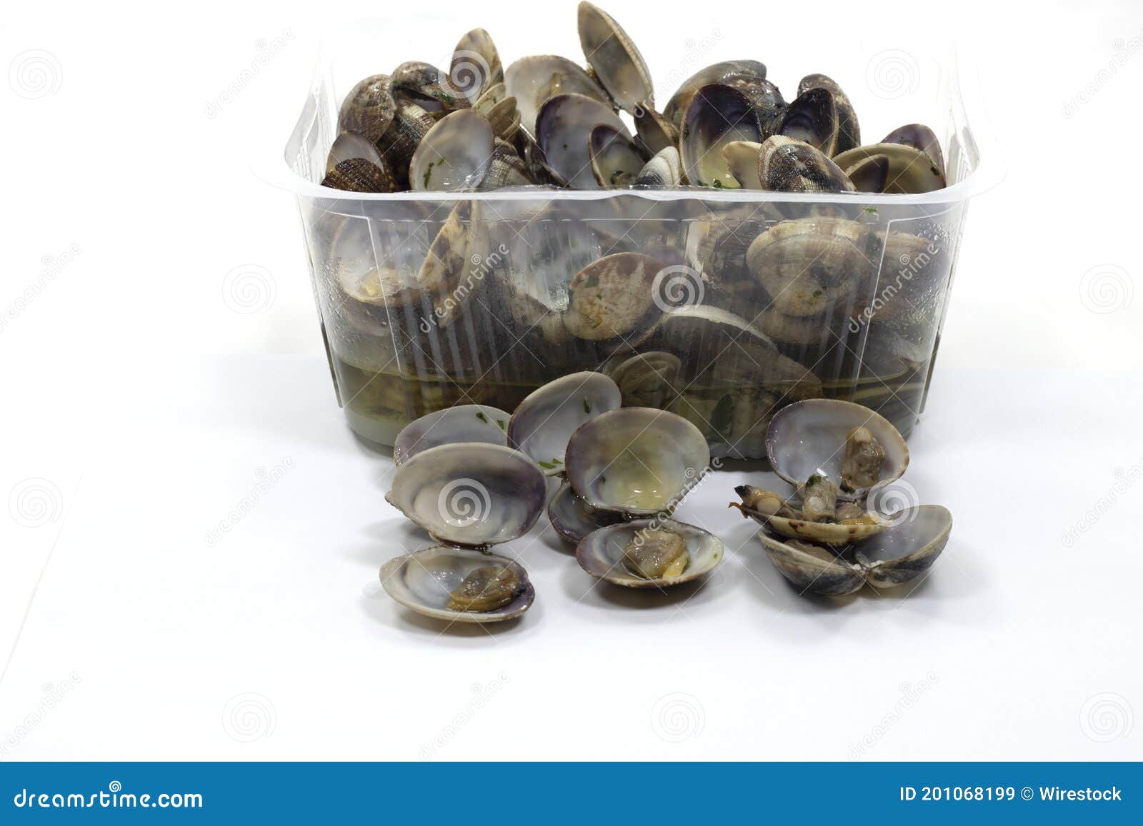 Closeup of Open Shellfish Seafood on a White Surface Stock Image ...