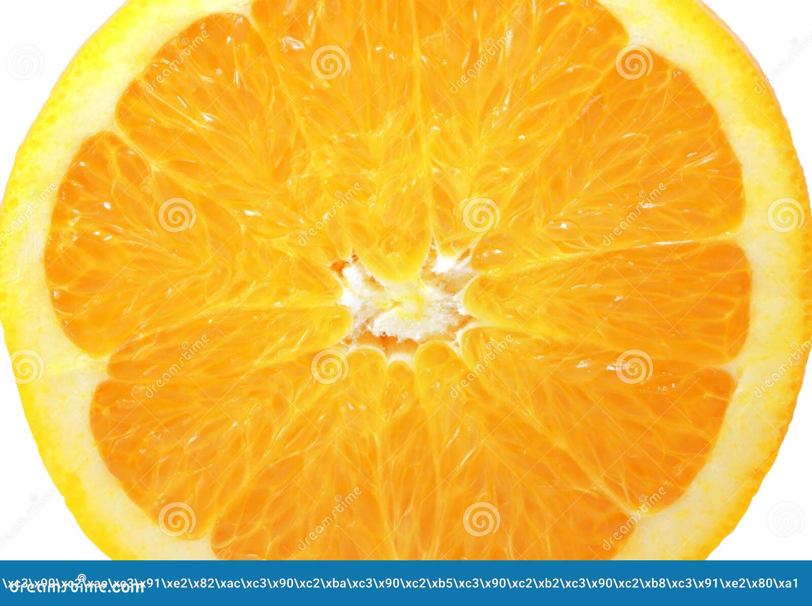 Closeup orange stock photo. Image of isolated, diet, life - 8882848