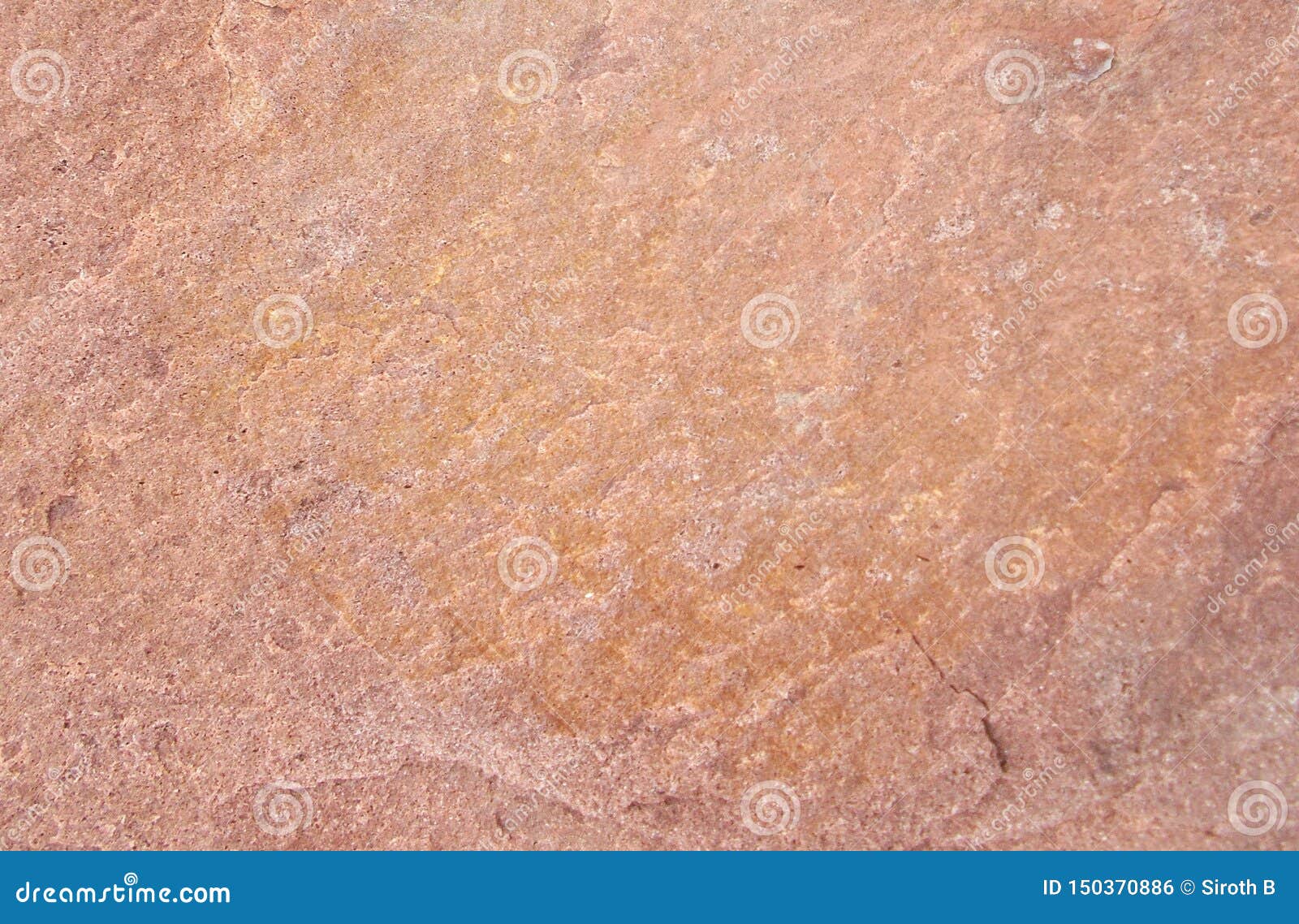 Oak Cortex Closeup, Texture Royalty-Free Stock Photography ...