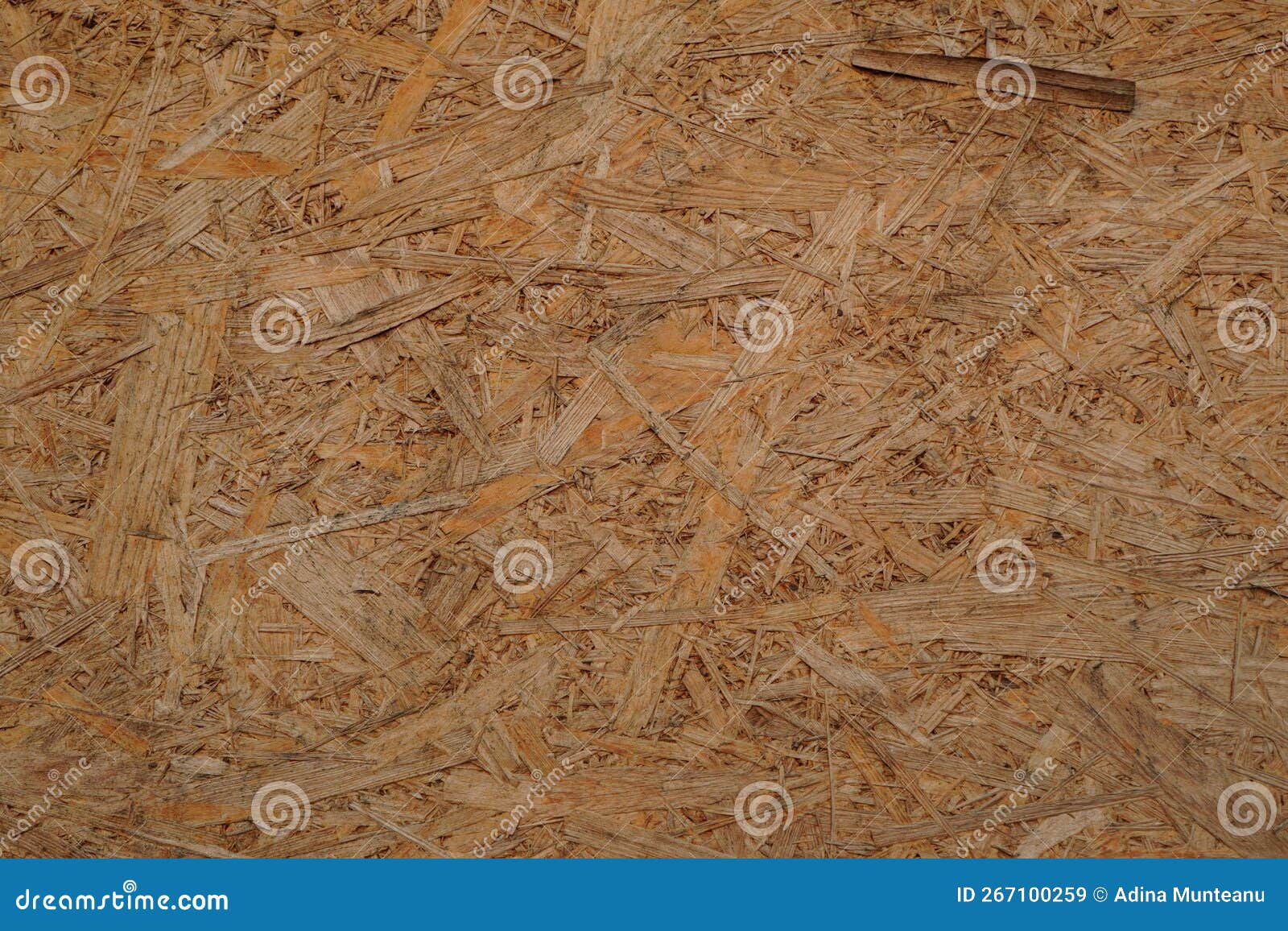 Closeup of OSB Oriented Strand Board Stock Image - Image of aspenite ...