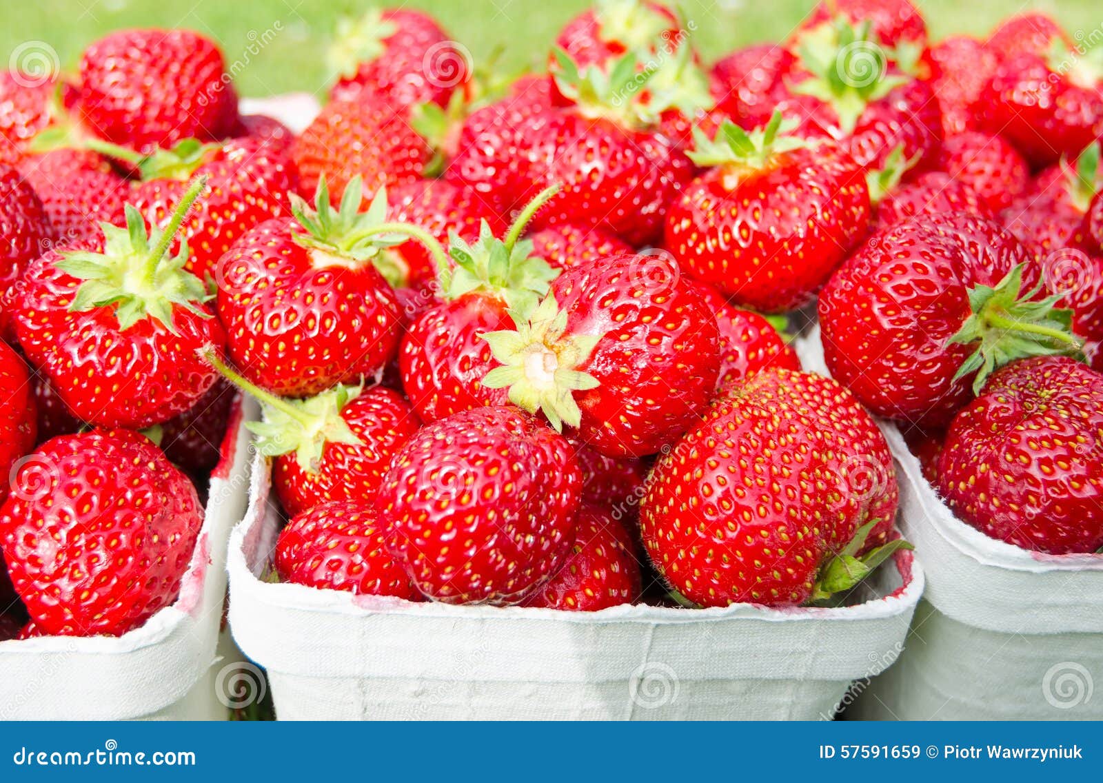 Closeup for Packages with Fresh Strawberries Stock Image - Image of ...