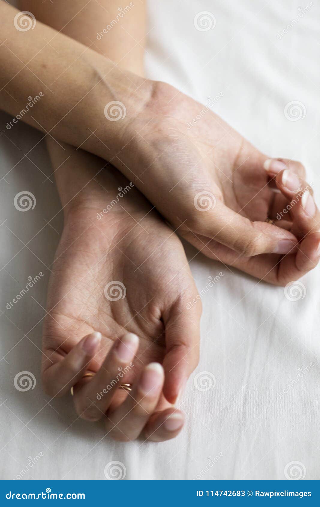 Closeup of a Pair of Female Hands Stock Image - Image of feminine ...