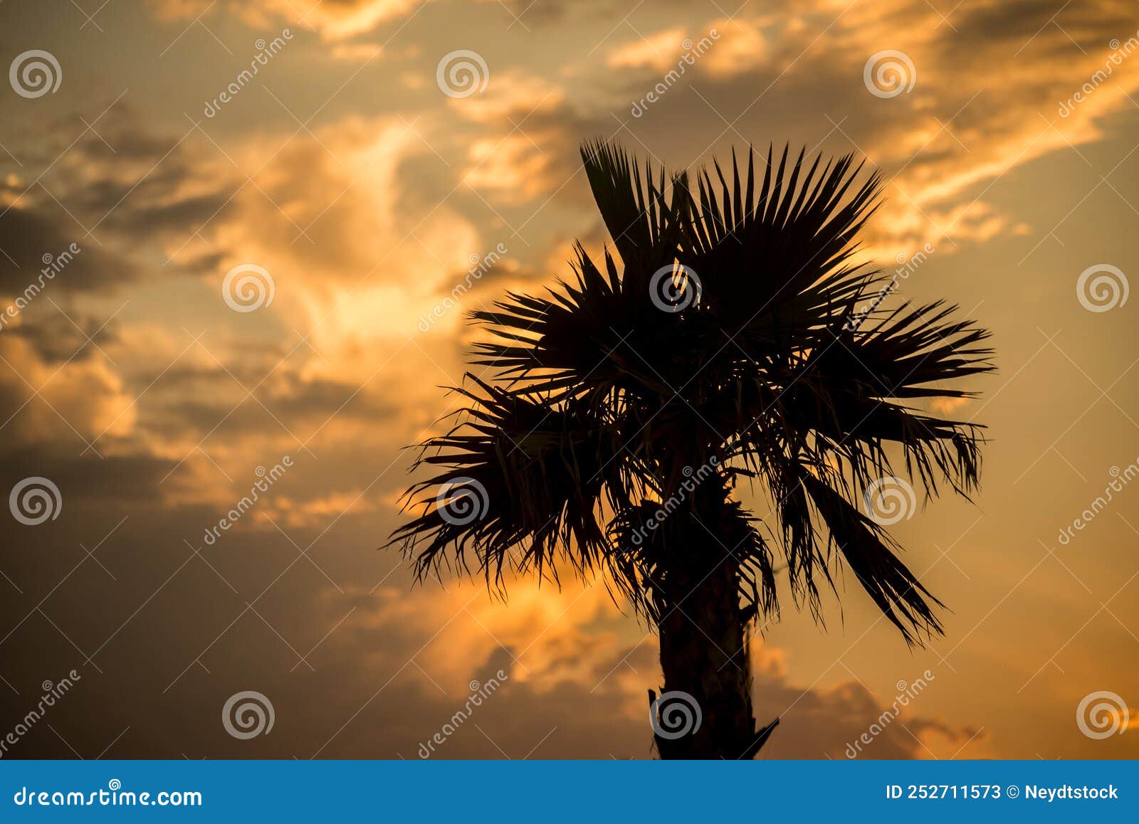 Palm Treee Bark Teeth Royalty-Free Stock Photo | CartoonDealer.com ...
