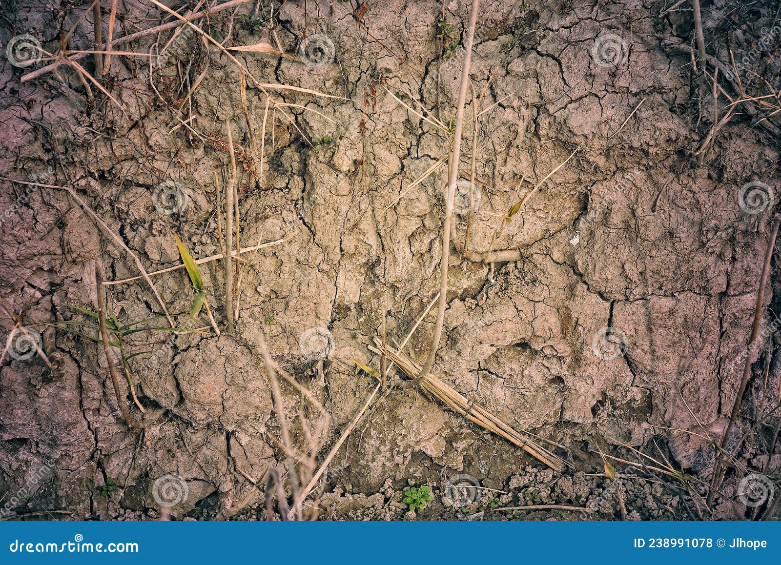 Parched earth stock photo. Image of parched, background - 238991078
