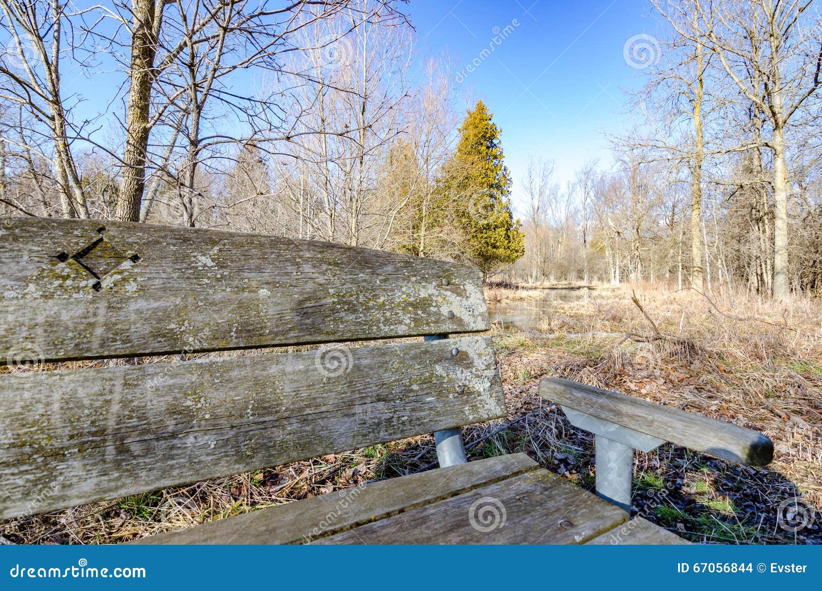 Closeup of a Park Bench in Winter Stock Photo - Image of park, vintage ...