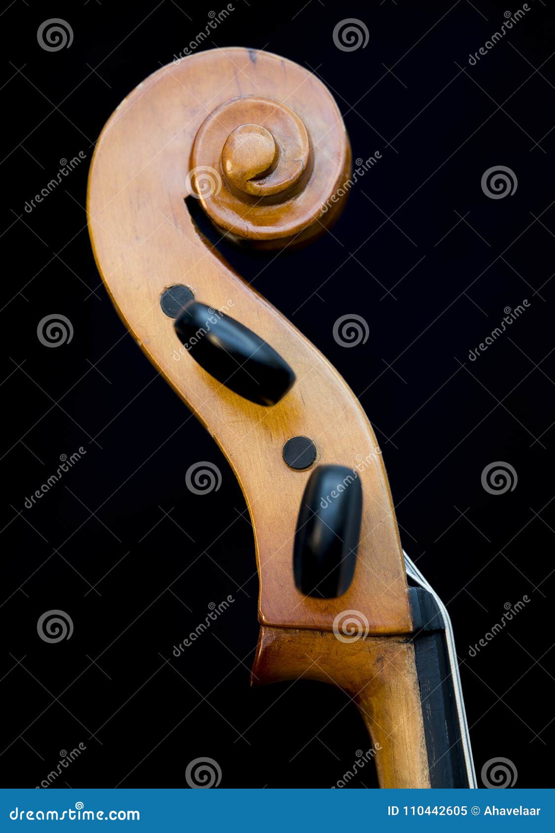 Closeup of Part String Instrument Cello with Snares and Scroll Stock ...
