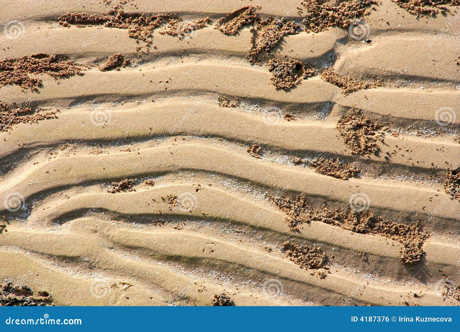 A Closeup of Patterns in the Sand Stock Photo - Image of ripples, dust ...