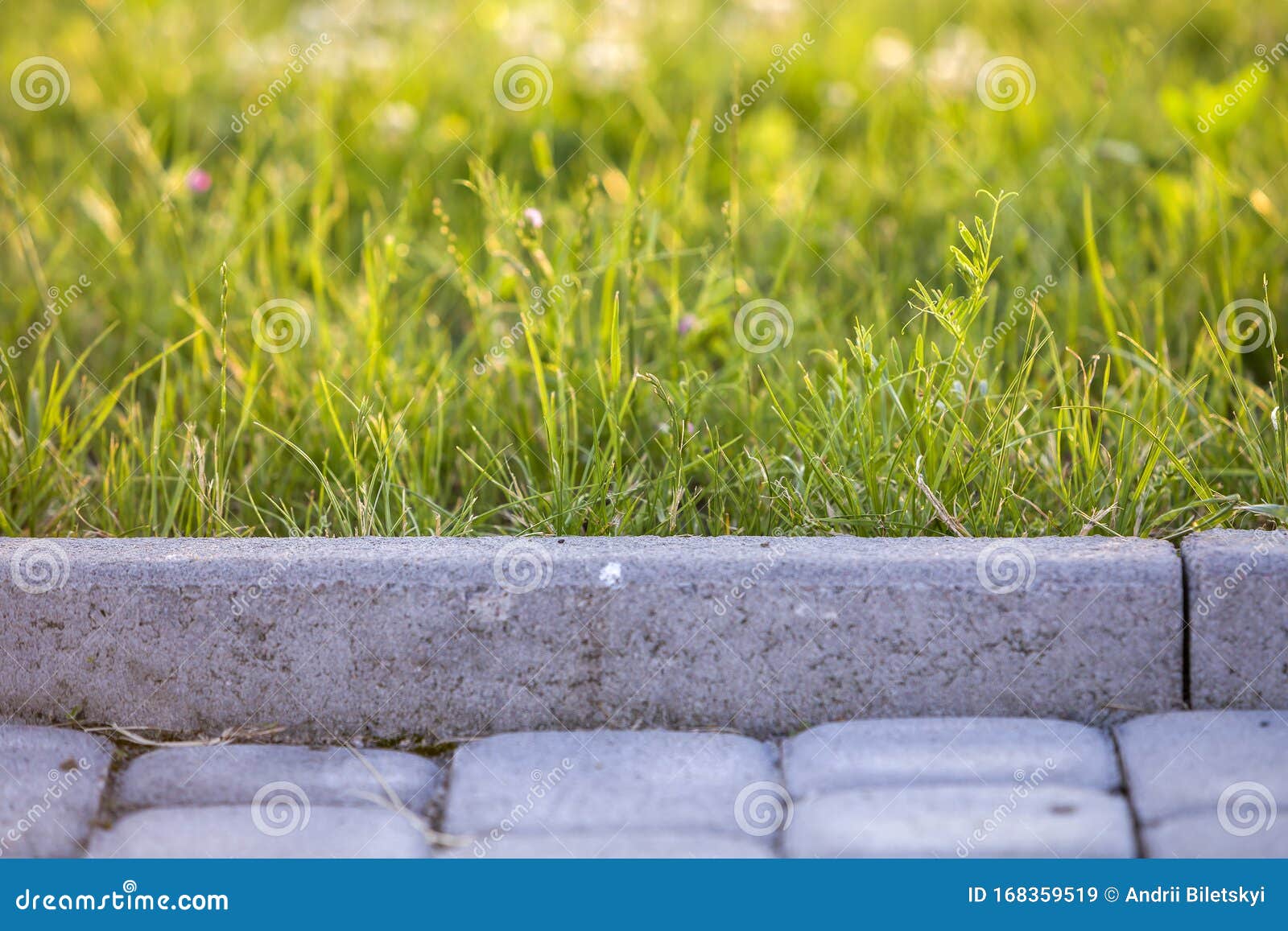Closeup of Pavement Curb with Green Grass Lawn Behind Stock Image ...