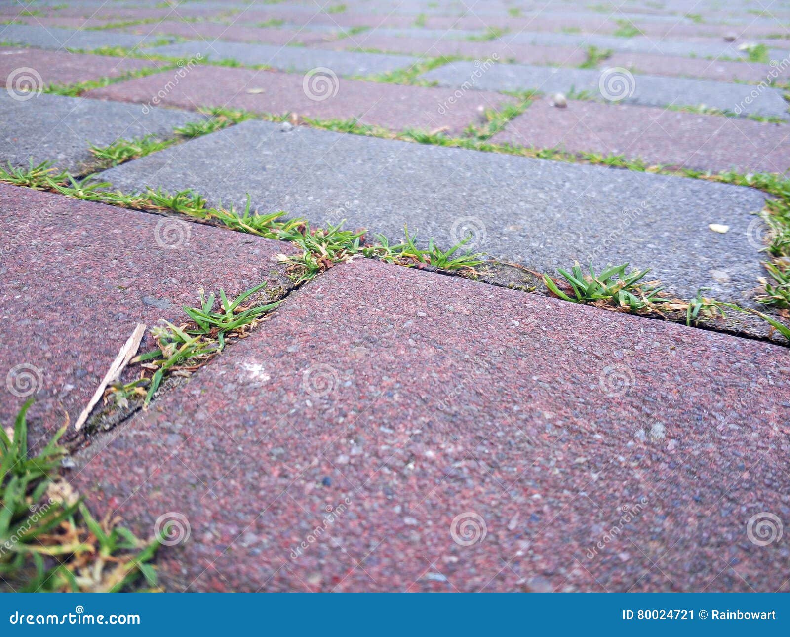 Closeup of Pavement with Grass Stock Image - Image of grass, plants ...