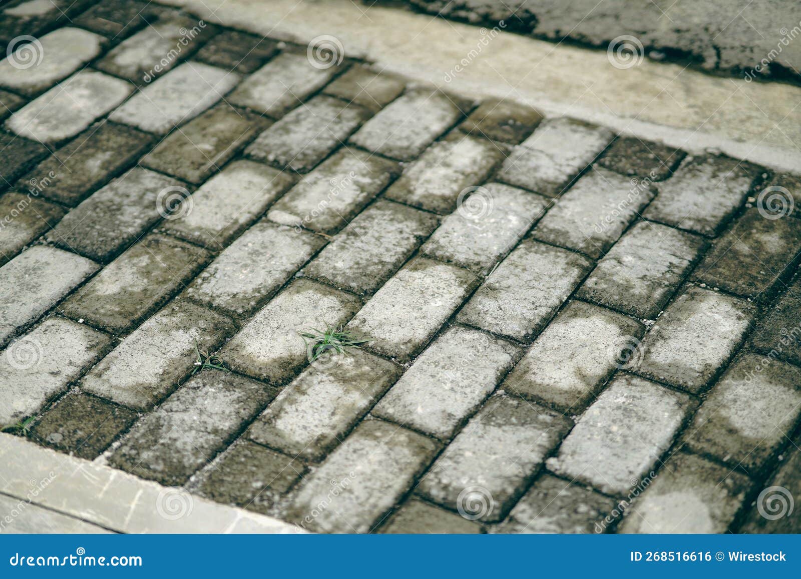 Closeup of Pavement Stone Ground Stock Photo - Image of closeup, rough ...
