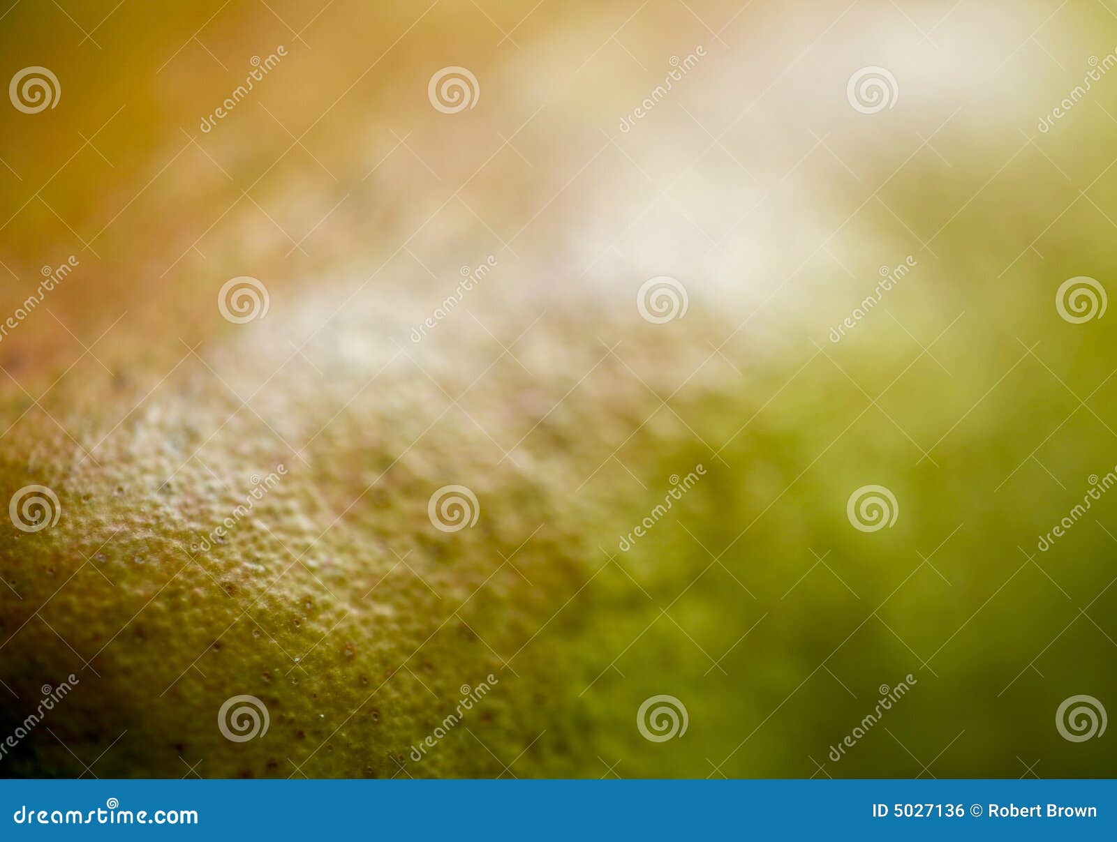 Closeup of pear skin stock photo. Image of nature, textured - 5027136