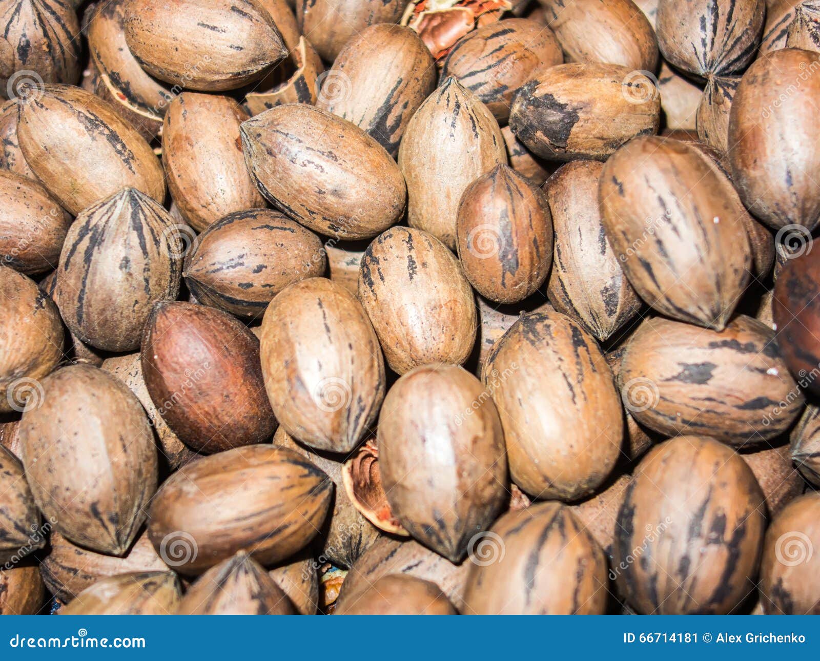 Closeup on Pecan Nuts Stacked in a Pile Stock Image - Image of ...