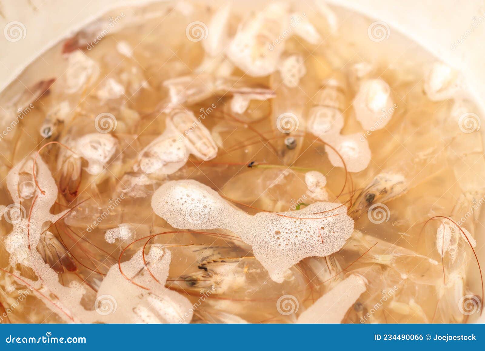 Closeup of Peeled Shrimp Shell in the Water Stock Photo - Image of ...