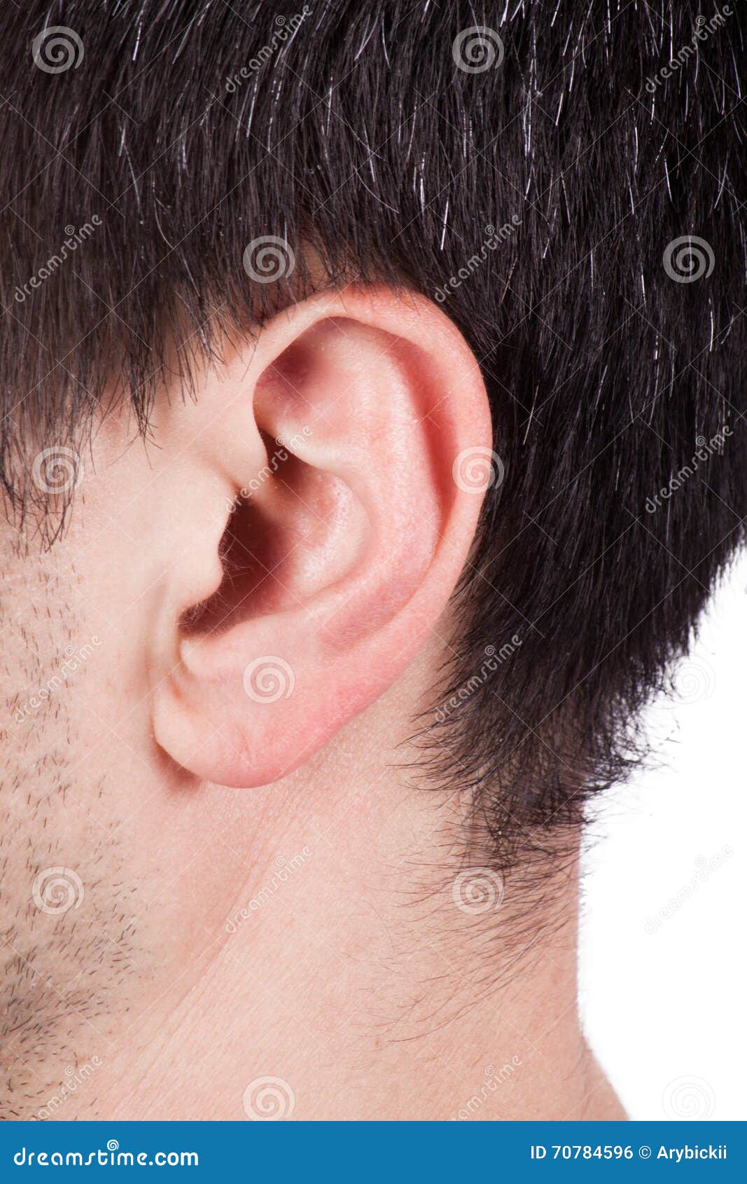 Closeup of a perfect ear stock photo. Image of close - 70784596