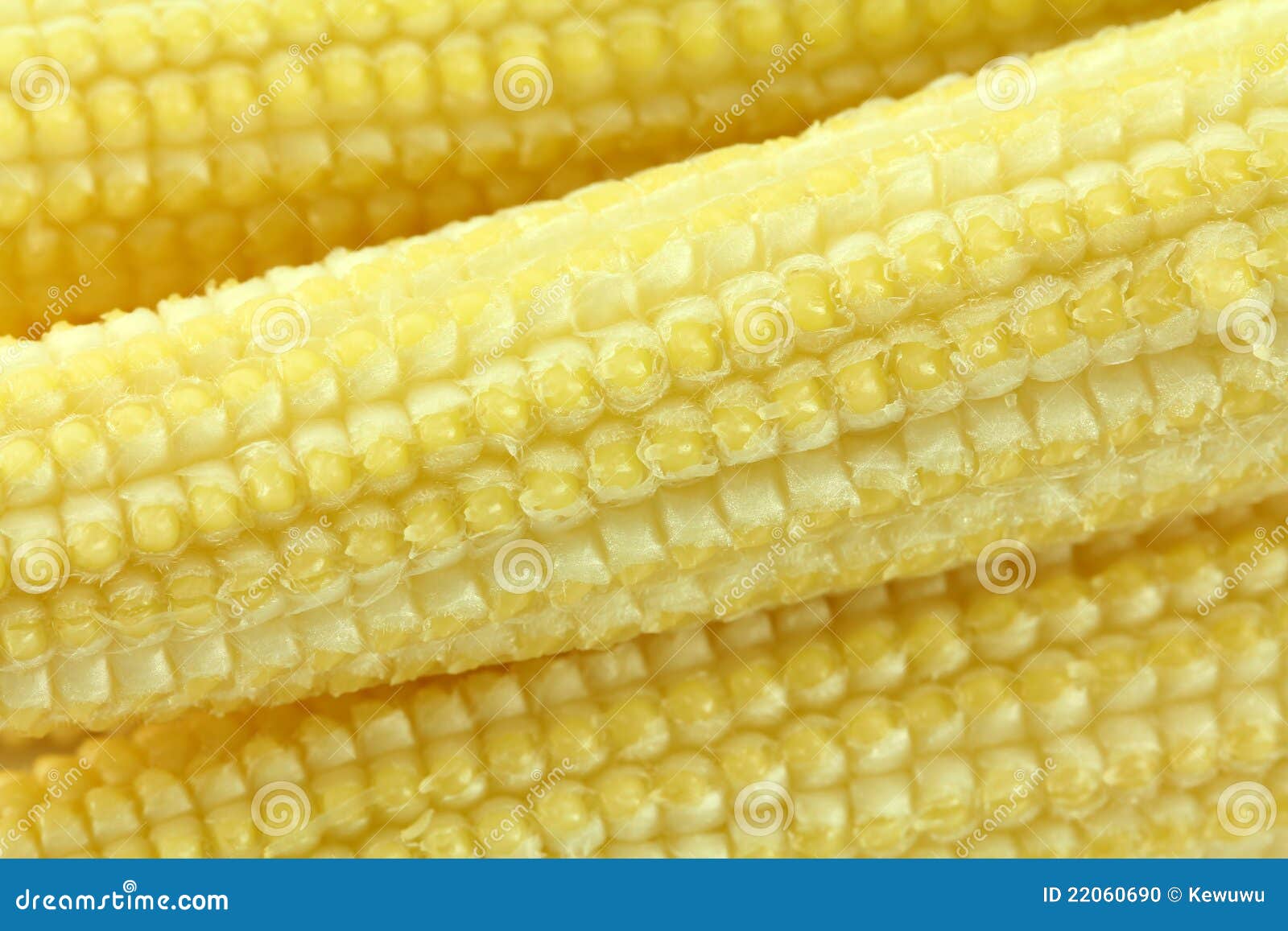 Closeup Photo of Baby Corn (Candle Corn) Stock Photo - Image of healthy ...