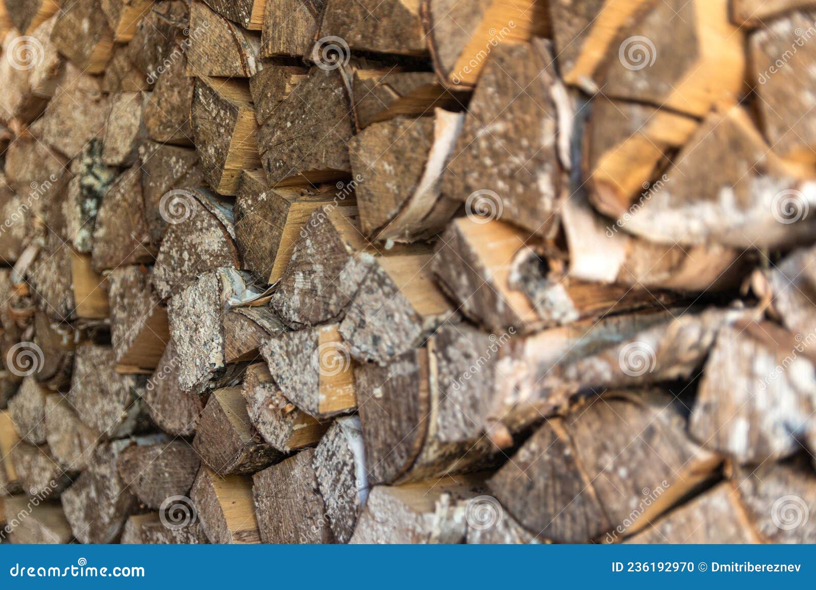 Closeup Photo of Dry Logs with Mold Stacked in Rows. the Structure of ...