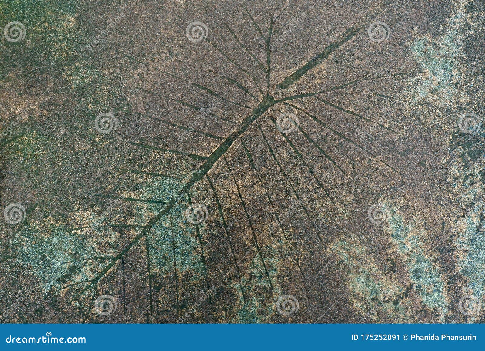 Leaf Pattern on Concrete Walkway Stock Image - Image of outdoor ...
