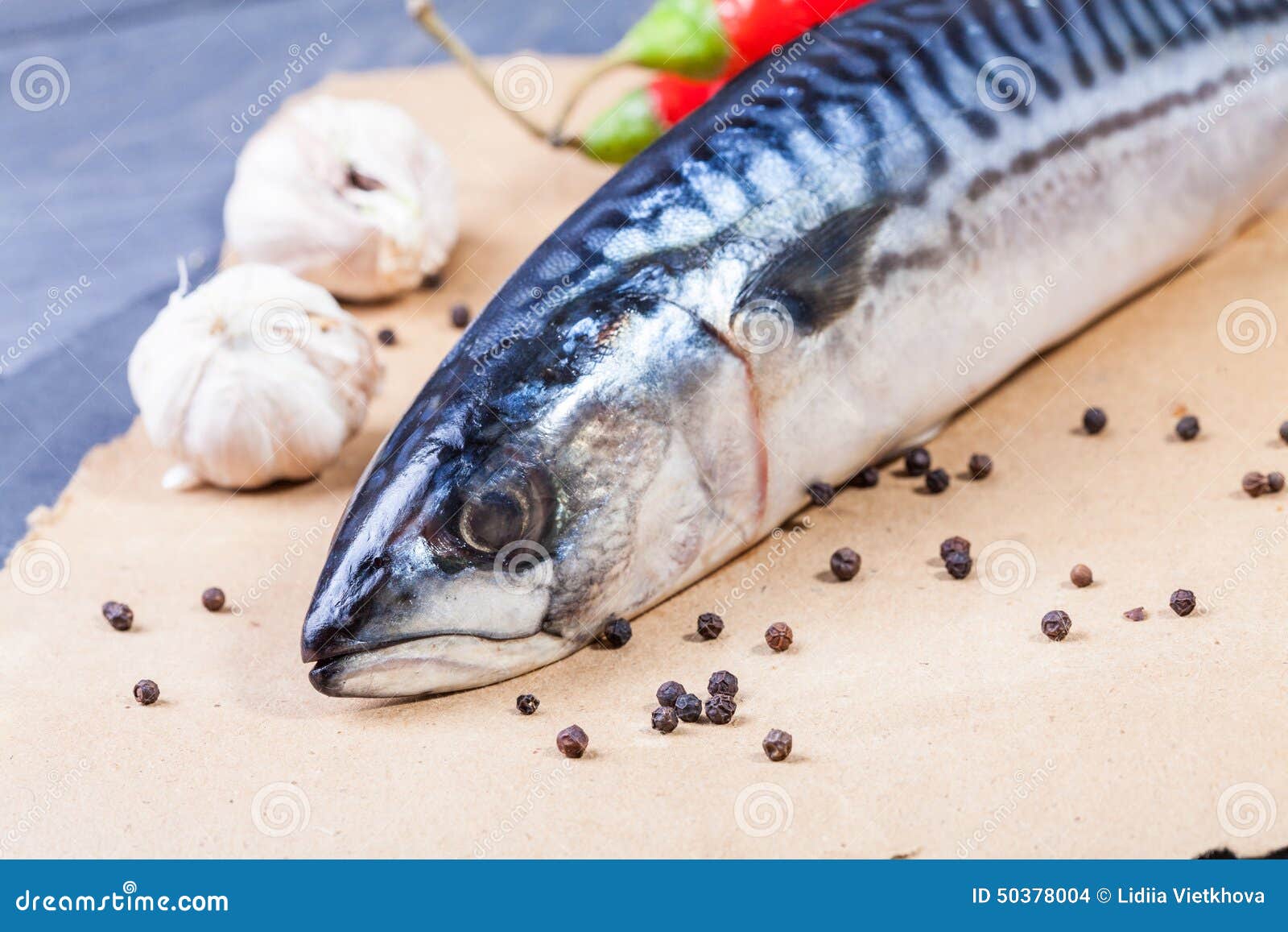 Closeup photo of mackerel stock photo. Image of gourmet - 50378004