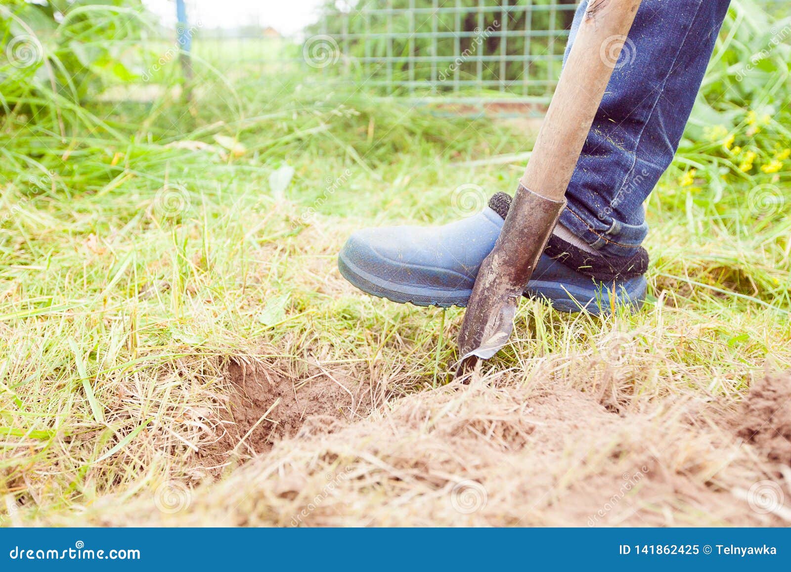 Closeup Photo of Man Digging Soil at Garden Stock Image - Image of ...