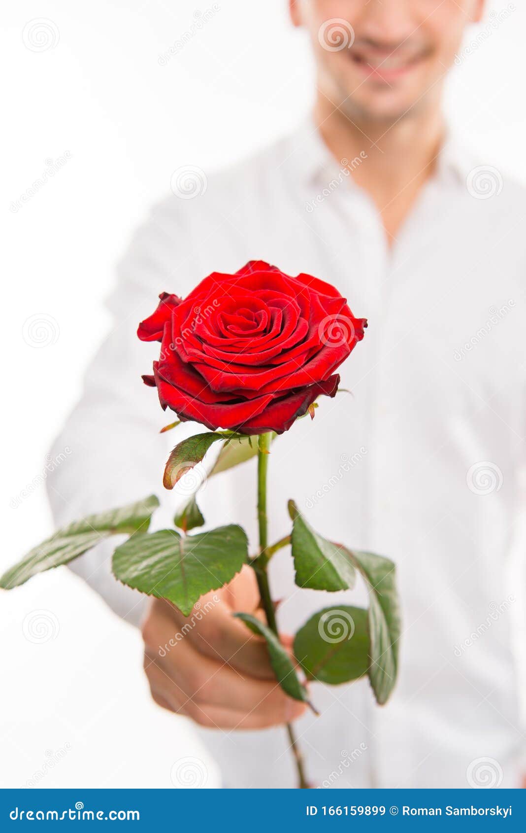 Closeup Photo of a Romantic Handsome Man with a Red Rose Stock Image ...