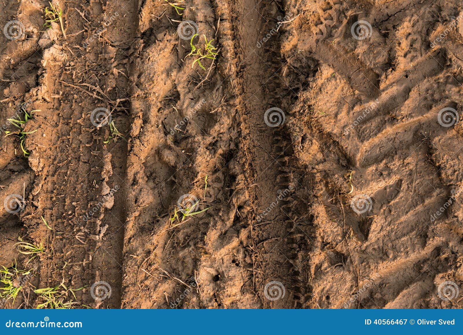 Closeup Photo of Some Mud Outdoors Stock Image - Image of tyre, rural ...