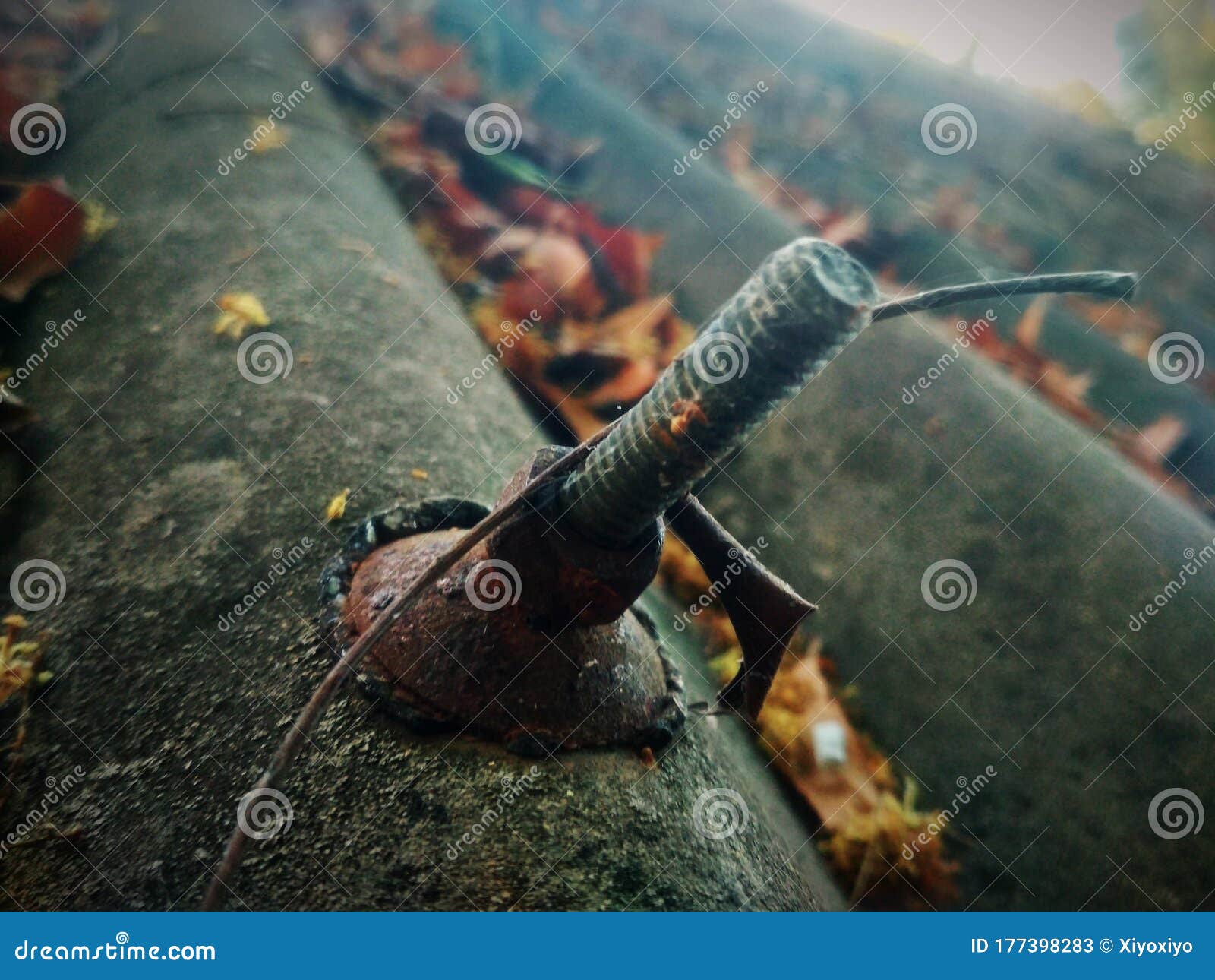 A Closeup Photography of a Iron Object. Stock Image - Image of nature ...