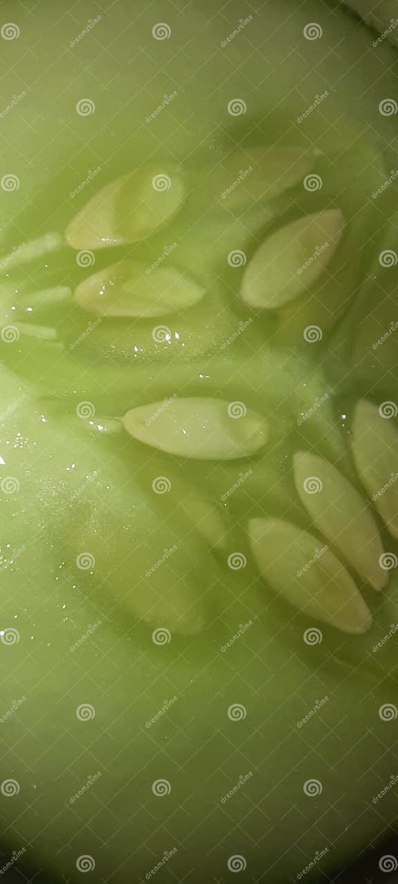 Closeup of pickle seeds stock image. Image of water - 252821009