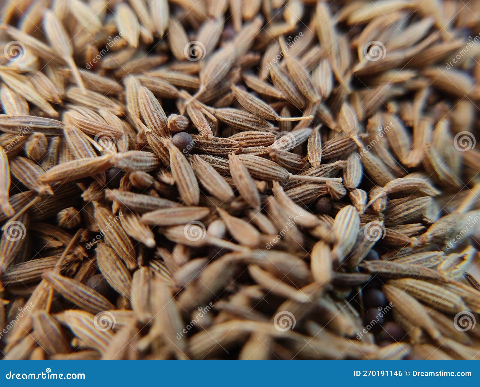 Closeup Picture of Cumin Seeds Stock Photo - Image of produce, dish ...
