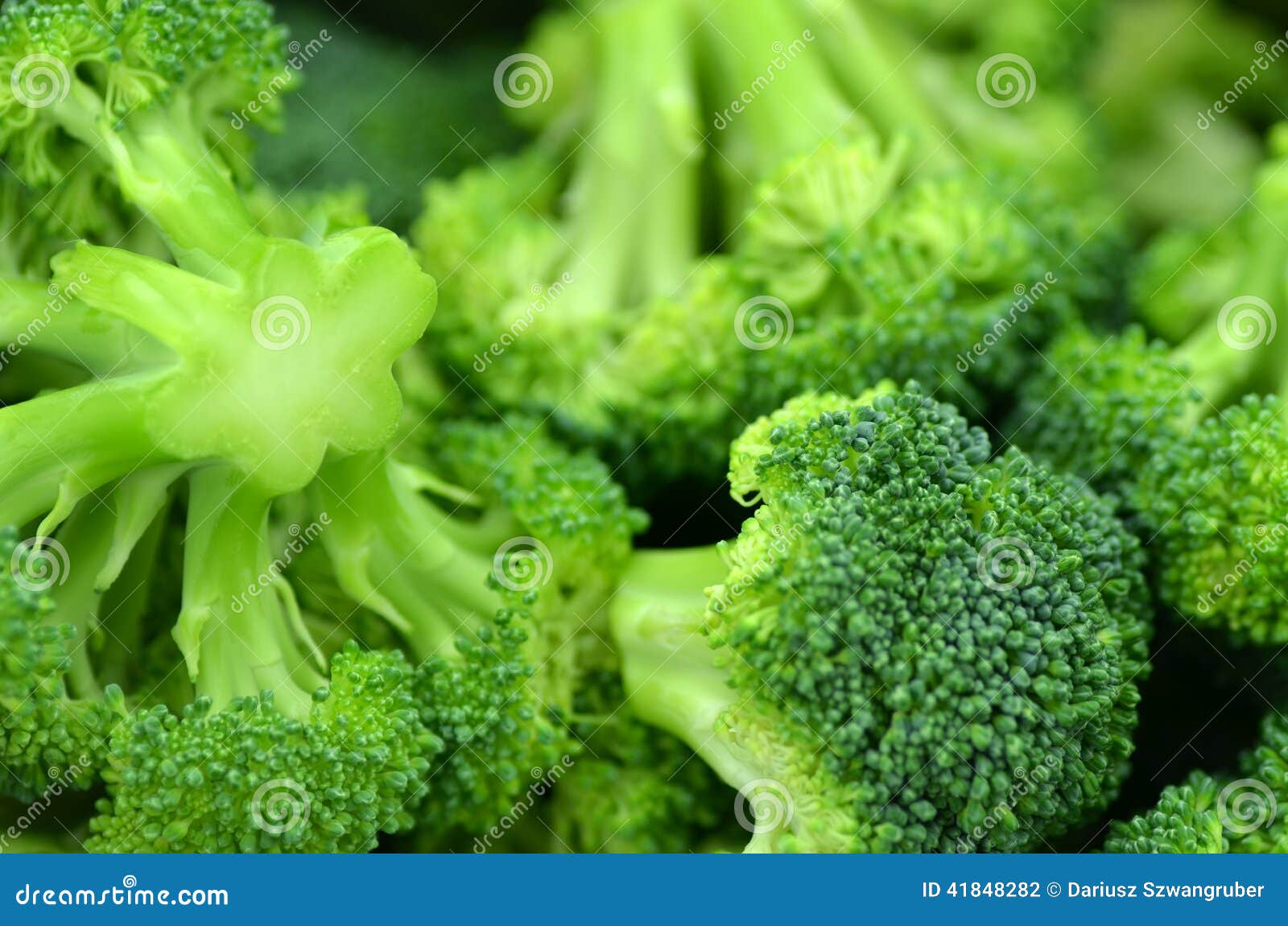 Closeup of Pieces of Fresh Broccoli Stock Photo - Image of nutrition ...
