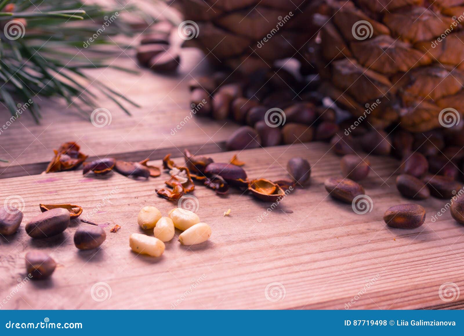 Closeup of pignolia nut stock photo. Image of decoration - 87719498