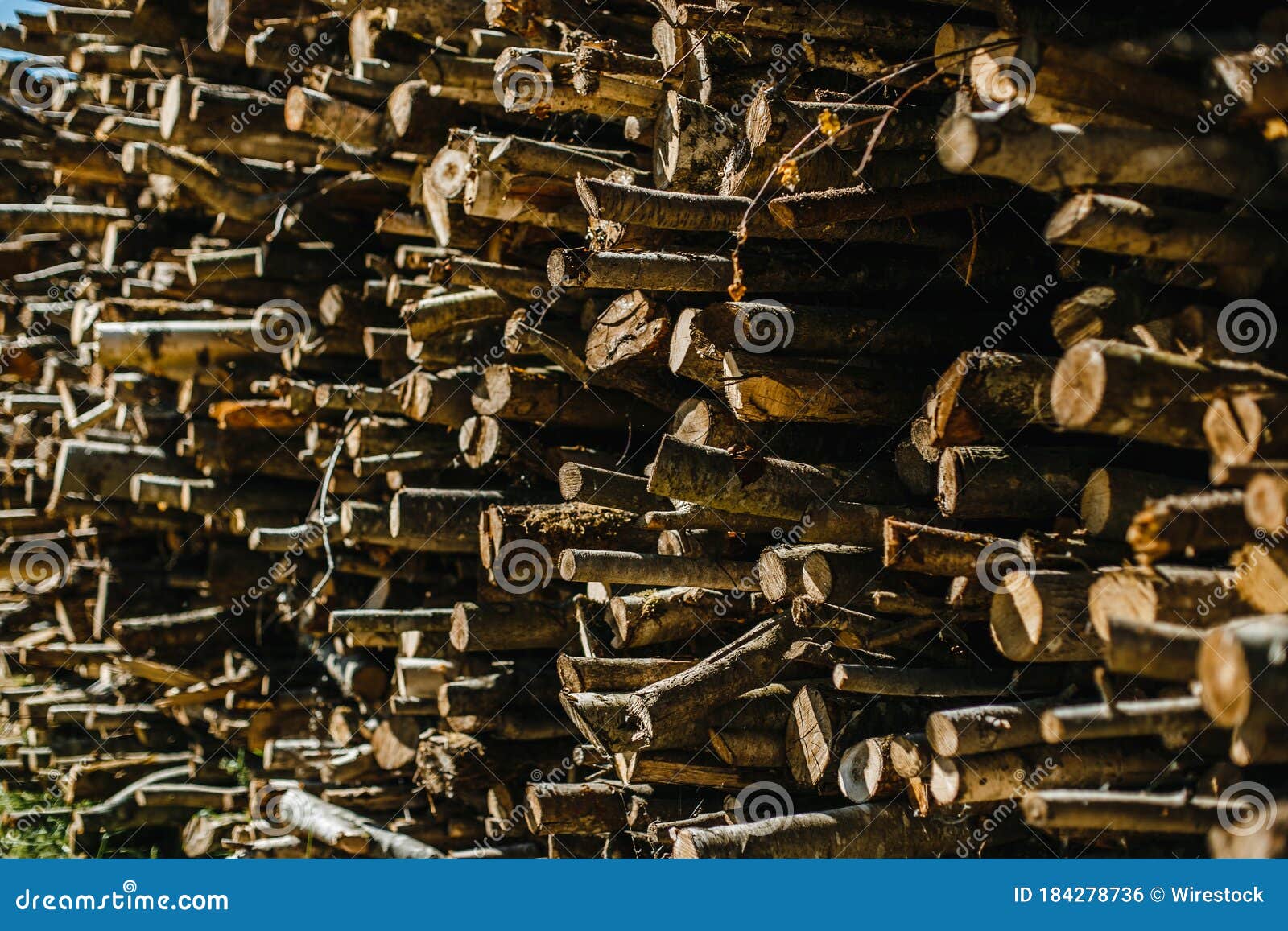Closeup of a Pile of Chopped Tree Branches Stock Photo - Image of retro ...