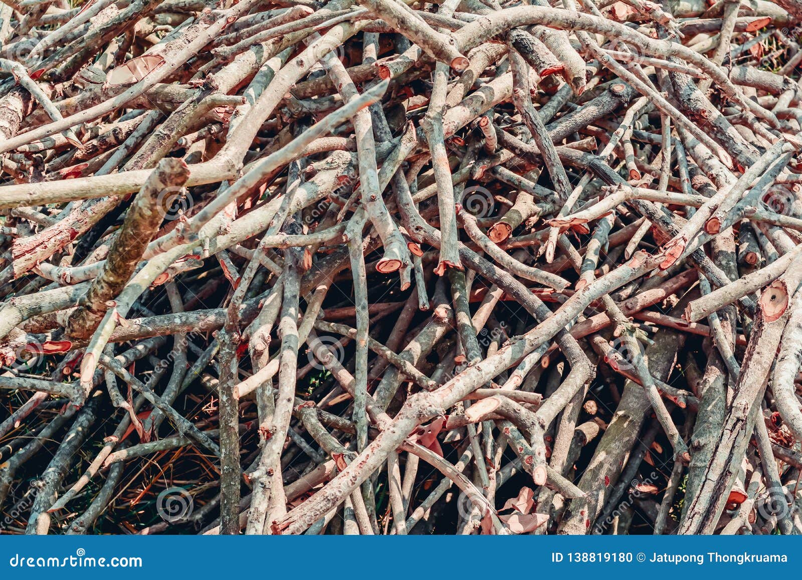 Pile of tree branch stock photo. Image of frame, firewood - 138819180